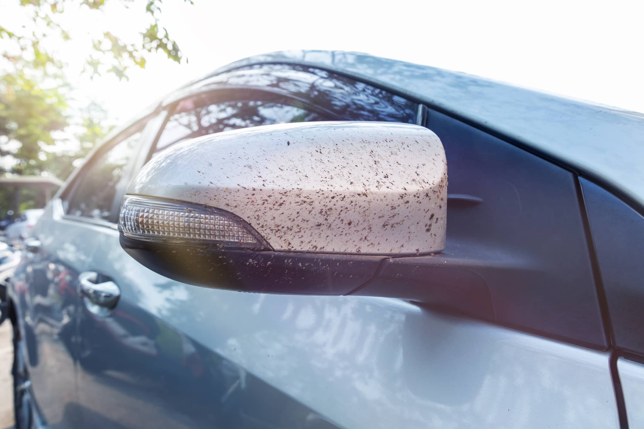 Expert Guide: How to Handle Bugs and Tar on Your Luxury Car